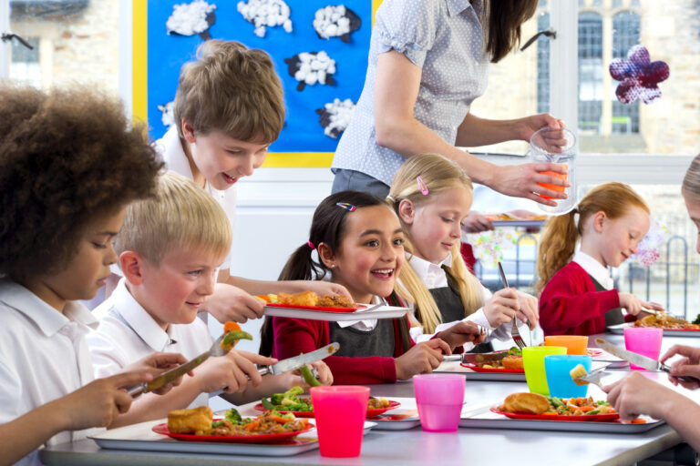 Putting the School Food Standards into Practice - Litmus Partnership