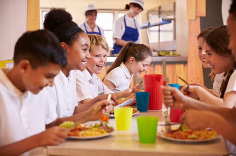 Why HACCP is critical in education catering - Litmus Partnership